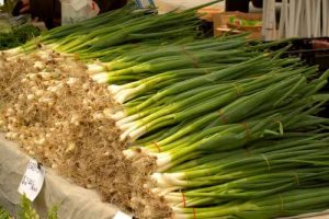 Growing Bunching Onions in Containers - An Ultimate Planting Guide ...