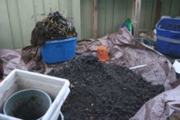 Is Shredded Paper Good for Compost - How to Make? - Homestead Gardener