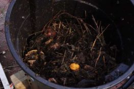 How to Make Compost at Home Using Kitchen Waste? - Homestead Gardener