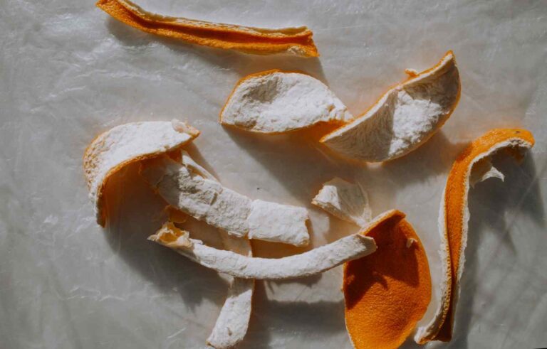 Are Orange Peels Good for Compost? Myth or a Surprising Fact ...