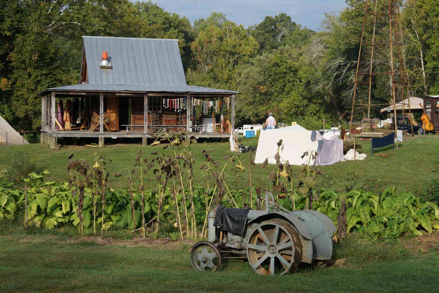 9 Harsh Truths about Homesteading - Important Tips for Beginners ...