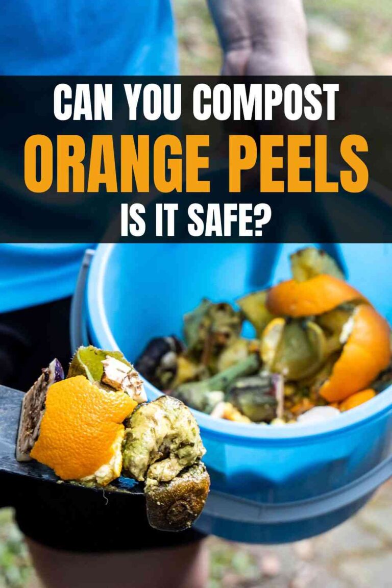 Are Orange Peels Good for Compost? Myth or a Surprising Fact ...