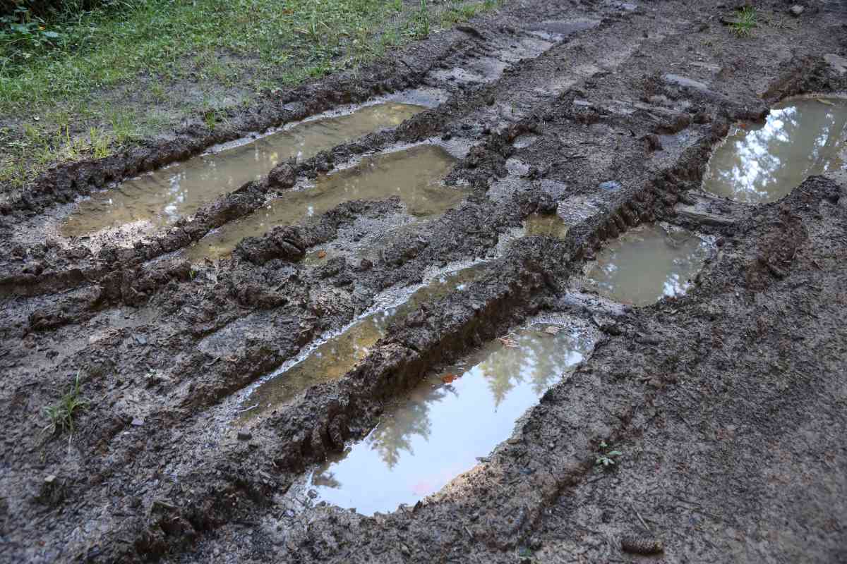 How to Manage Mud on the Homestead - 3 Creative Ways Included ...