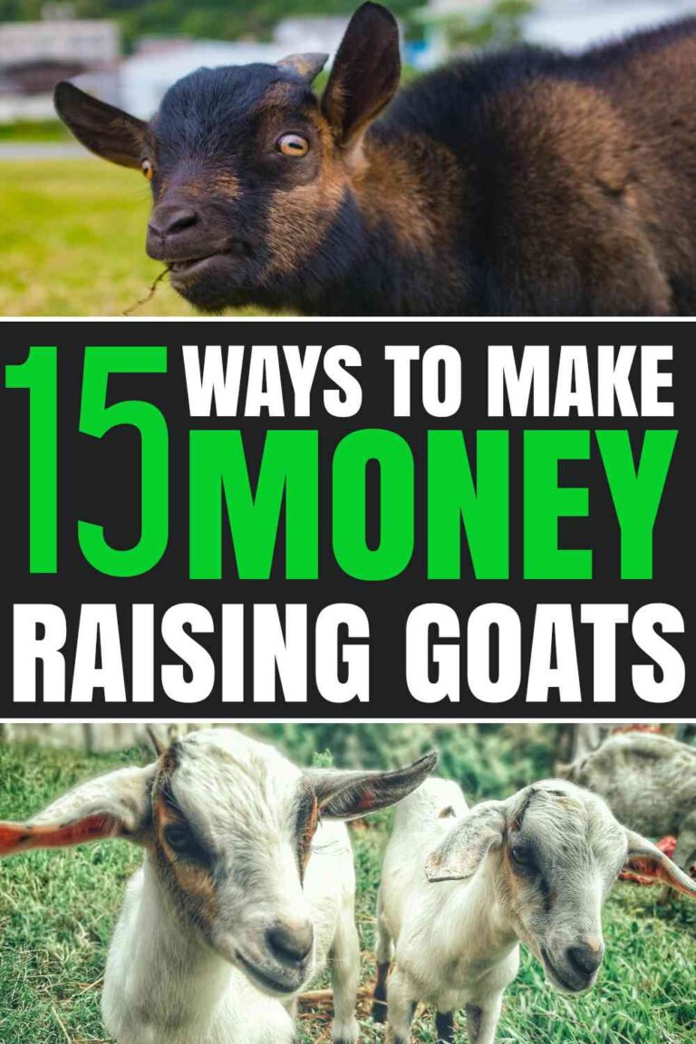 15 Ways to Make Money Raising Goats - Homestead Gardener