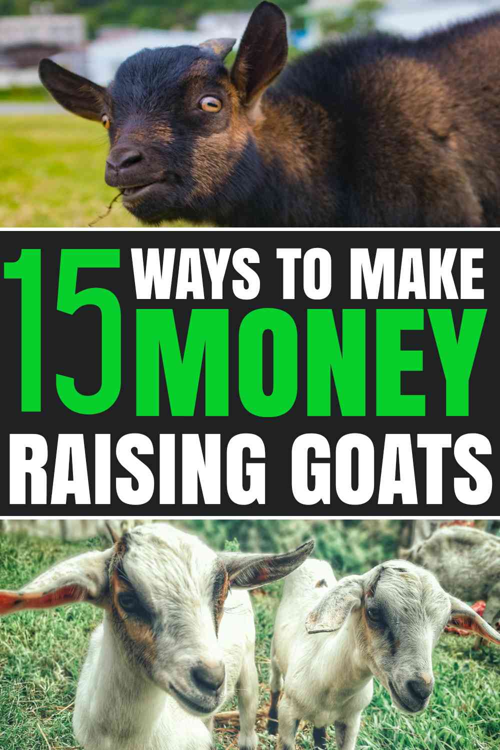 15 Ways to Make Money Raising Goats - Homestead Gardener