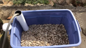 How to Build Self-Watering Containers? - Homestead Gardener