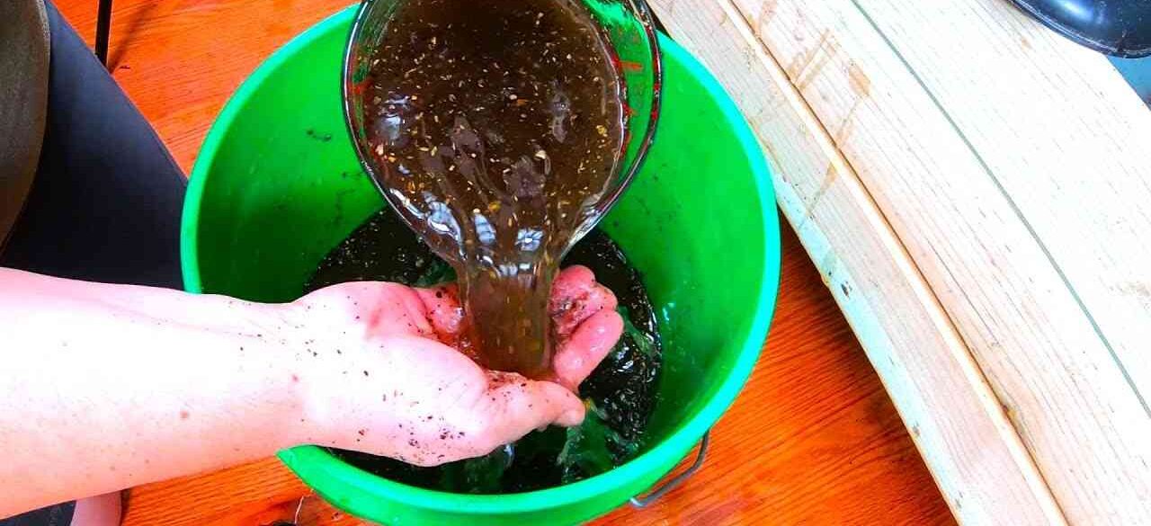 How Do You Make Worm Tea Fertilizer? - Homestead Gardener