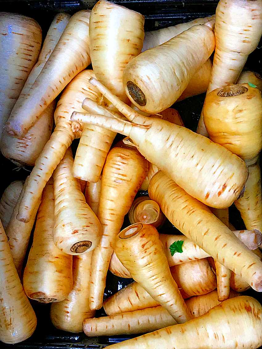 36 Vegetables You Can Plant in January for Spring Harvest - Homestead ...
