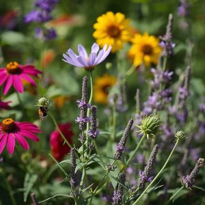 60 Popular Cut Flower Garden Ideas to Transform Your Backyard ...